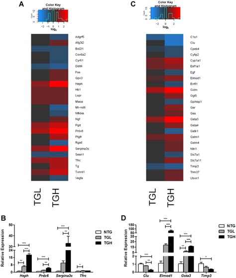 Figure 3 From Identification Of Transcriptome Signature For Myocardial