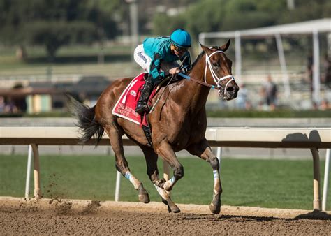 Roy H Keeps Rolling With Palos Verdes Stakes Win At Santa Anita Daily