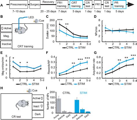 Stimulation Of Vta To Vp Gaba Pathway Improves Performance In Crt A