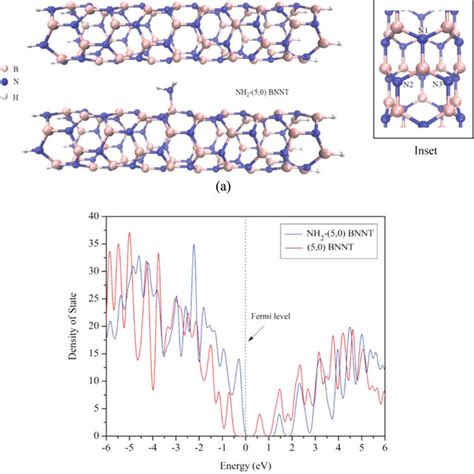 (a) The optimized structures of pristine and amine BNNTs and (b) total... | Download Scientific ...