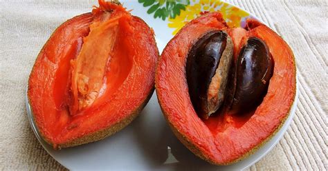Sapote Local Tropical Fruit From Mexico
