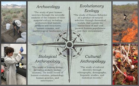 What Is Anthropology Department Of Anthropology The University Of Utah