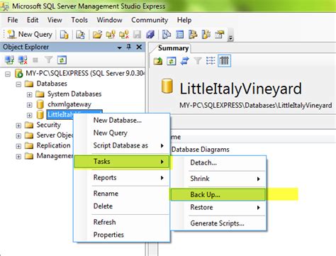 Sql Server Backup Database Snoarena