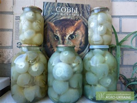 Продам настойка гриба веселка, купить настойка гриба веселка, Киев ...