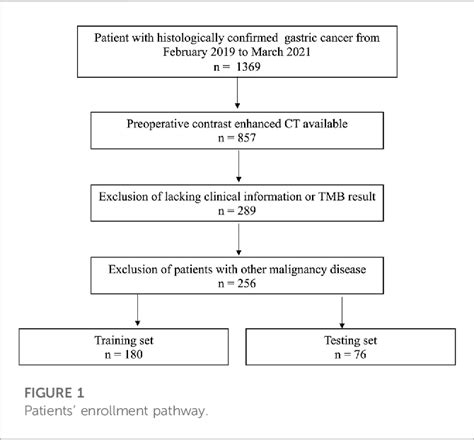 Figure 1 From A Machine Learning Based Radiomics Model For Prediction Of Tumor Mutation Burden