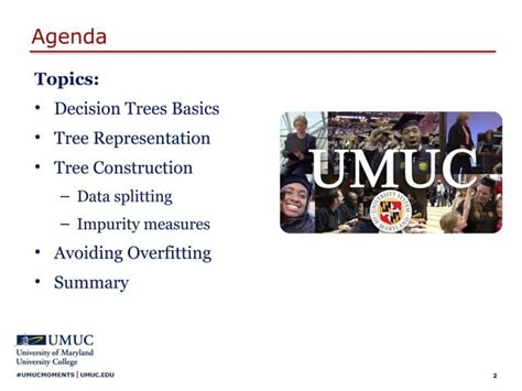 Decision Trees Basic Decryptions Dt Pptx