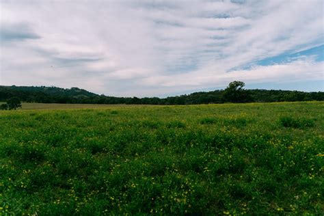 Pasture Grass Guide Types Selection Management Grainshed