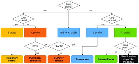 Sonographic Decision Tree According The Blue Protocol Copd Chronic