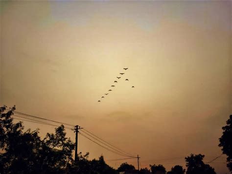 deepak mokashi on linkedin discipline motivation goal 2024goals