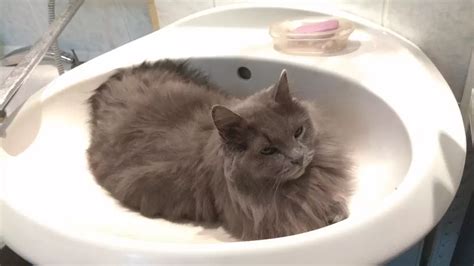 Murka Model Murkamodel • Instagram Photos And Videos