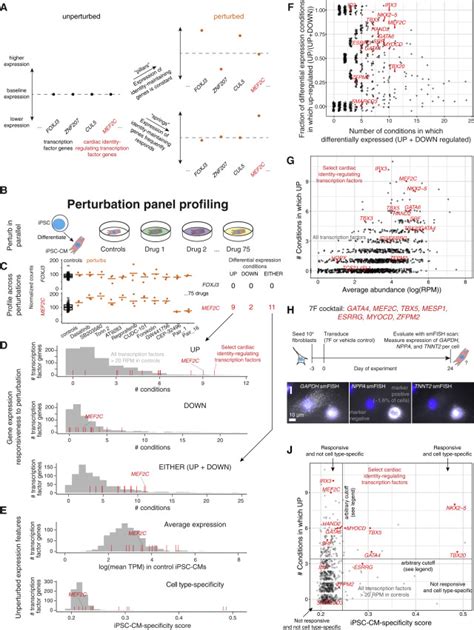 Responsiveness To Perturbations Is A Hallmark Of Transcription Factors
