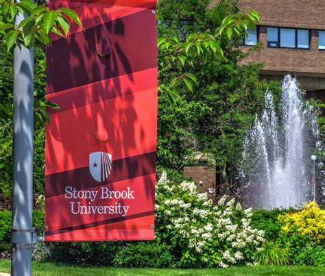 Stony Brook University New York Research