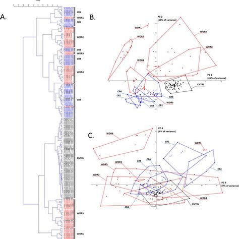 Overview Of The Transcriptome Analysis A Differentially Expressed Download Scientific