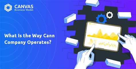 How Does Cann Company Work