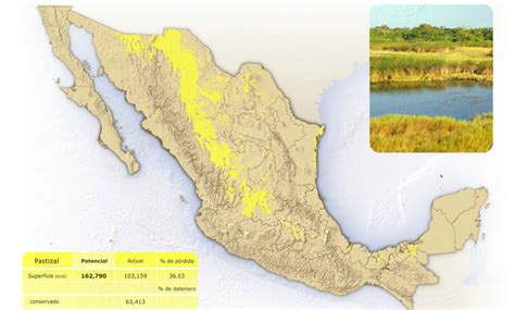 ¡distribución De Las Regiones Naturales De México Nueva Escuela