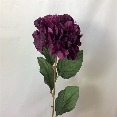 Single Hydrangea Plum Village Green