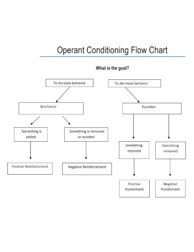 Operant Conditioning Examples