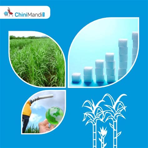 Sugar Stocks Soar Dhampur Bio Ugar Sugar Lead Gains Amid Ethanol