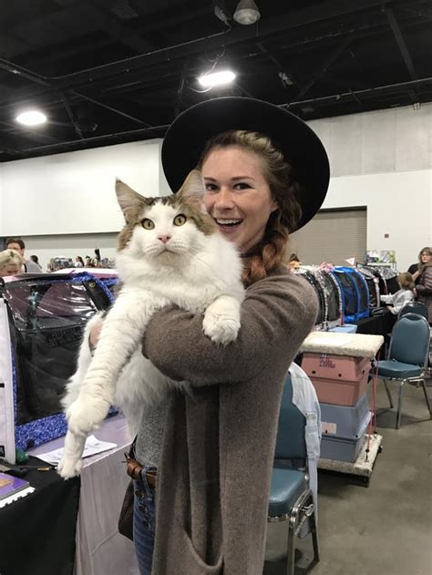 This Is Cubby He Is Fancy R Girlswithhugepussies