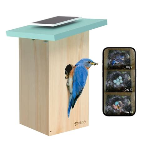 Birdfy Smart Bird Houses With 1080p Hd Bird Feeder Camera Perfect