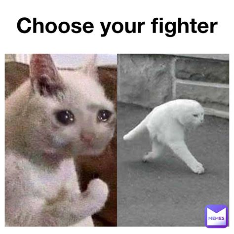 Choose Your Fighter Hehe Boaii Memes