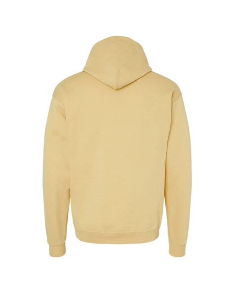 P170 Ecosmart Pullover Hooded Sweatshirt Hanes