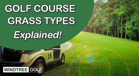 8 Types Of Golf Course Grass With Pictures