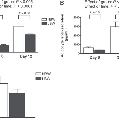 Preadipocyte Cell Surface Markers Preadipocytes Established From