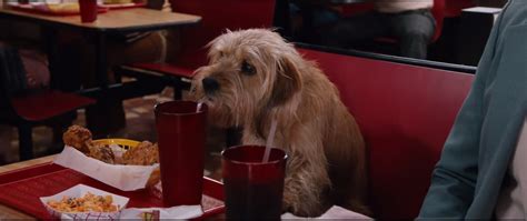 Anchorman Baxter Quotes About Quotesgram