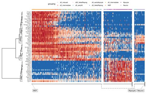 Set Of Packages For Doing Trajectory Inference On Single Cell Data • Dyno