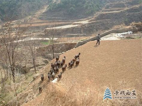 20年前郊游寄母山 城市之间荣耀西安网西安论坛 西安发展西安新闻西安地铁悦西安西安规划西安商业西安地产西安高楼西安攻略