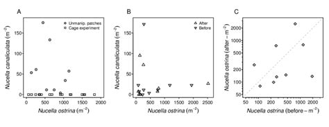 Figure S2 The Density Of Nucella Ostrina And N Canaliculata In The Download Scientific