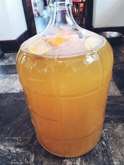 Is It Safe To Drink Home Made Mead How To Know Qrjmn