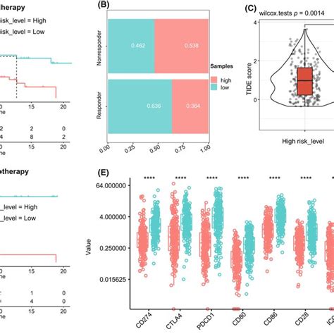 Difference Of Immunotherapy Response And Immune Landscape Between The