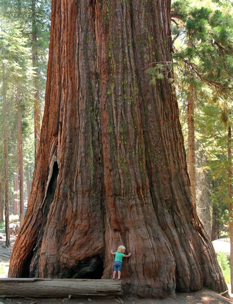 The Big Picture 10 Of The Largest Things In The World The Shutterstock Blog