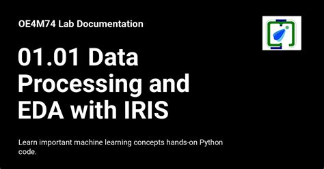 Data Preprocessing And Eda With The Iris Dataset Oe4m74 Lab Documentation