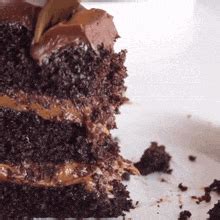 Chocolate S Tenor