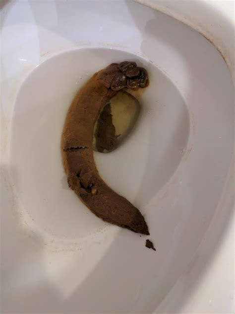 This Might Just Be The Biggest Shit Ive Ever Taken Rpoop