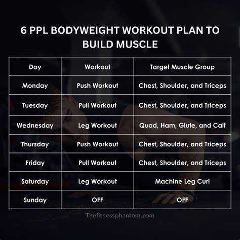 6 Day Bodyweight Push Pull Legs Workout Routine W Pdf