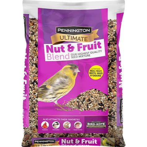Premium 7 Lbs Bird Seed Blend With Nuts And Fruits Morocco Ubuy