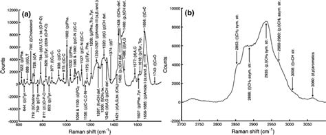 Raman Spectra Of A Single Du145 Cell For The A Lwn And B Hwn Download Scientific Diagram
