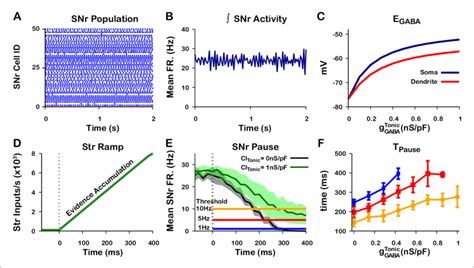 Tonic Somatic Cl À Conductance Affects Somatic And Dendritic E Gaba And