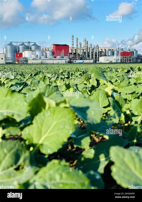 View Of Methanol And Ethanol Factory Polish Producer Of Bioethanol And
