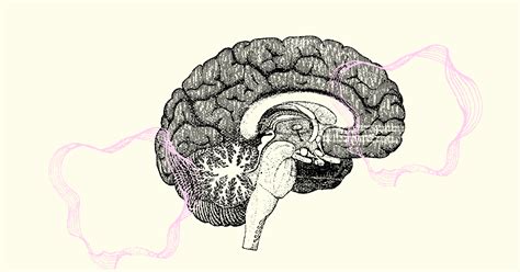 The Role Of Cognitive Load In User Interface Design Dunja Cvetkovic Experience Designer