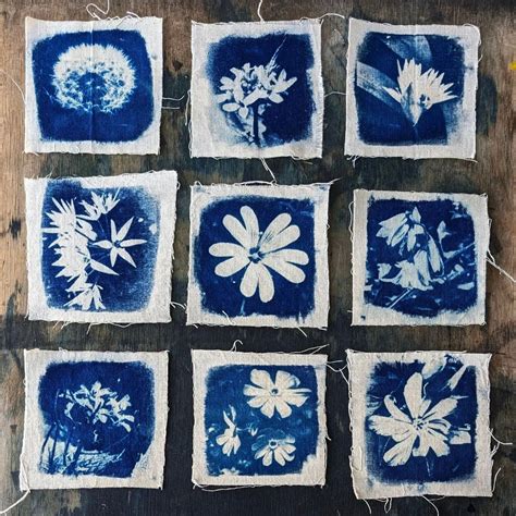 Cyanotype Processes And Digital Negatives Blog