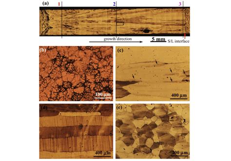 A Longitudinal Macrostructure Of The Ni Mn Sn Unidirectional Crystal