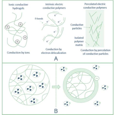 Figure 3 From Smart Materials In Regenerative Medicine