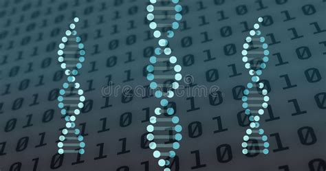 Image Of Dna Strands Spinning Over Binary Coding Data Processing Stock