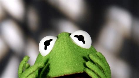 Kermit Meme Wallpapers Top Free Kermit Meme Backgrounds Wallpaperaccess