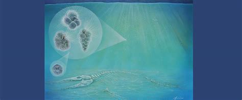 Life Recovered Rapidly At Impact Site Of Dino Killing Asteroid Maglab